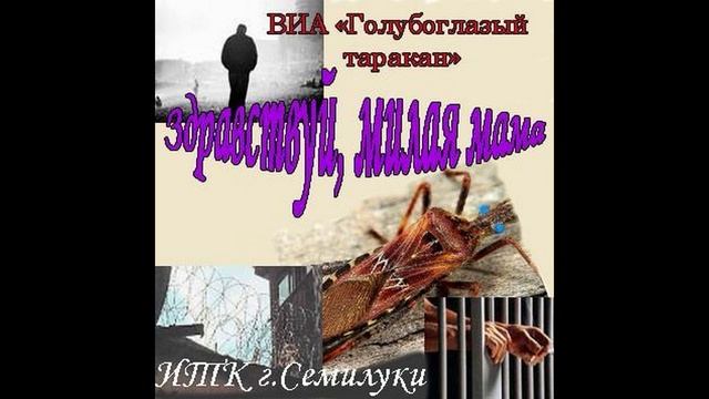 ВИА Голубоглазый Таракан 1986год.-Здравствуй милая Мама. Полный концерт.