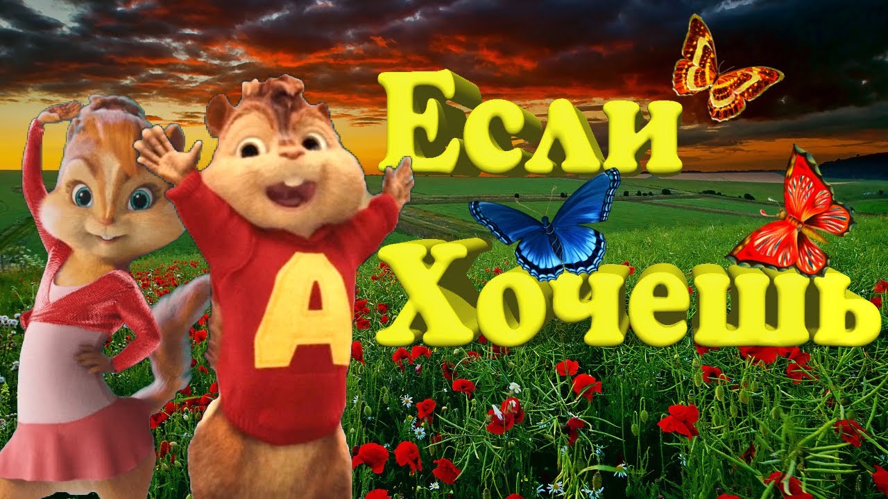 ? ЕСЛИ ХОЧЕШЬ ? НоваЯ ЧумОваЯ Песня с ? Морем Эмоций ?от Элвина и Друзей ✌