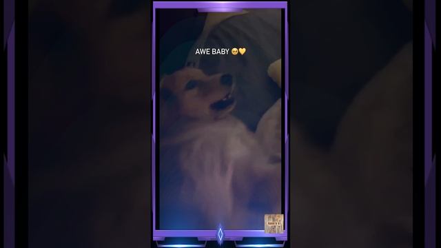 А вы и не знали что ТАК и планировалось #chorts