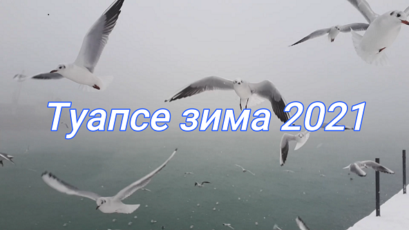 Туапсе 16.02.2021, зима: снег, метель, мороз.