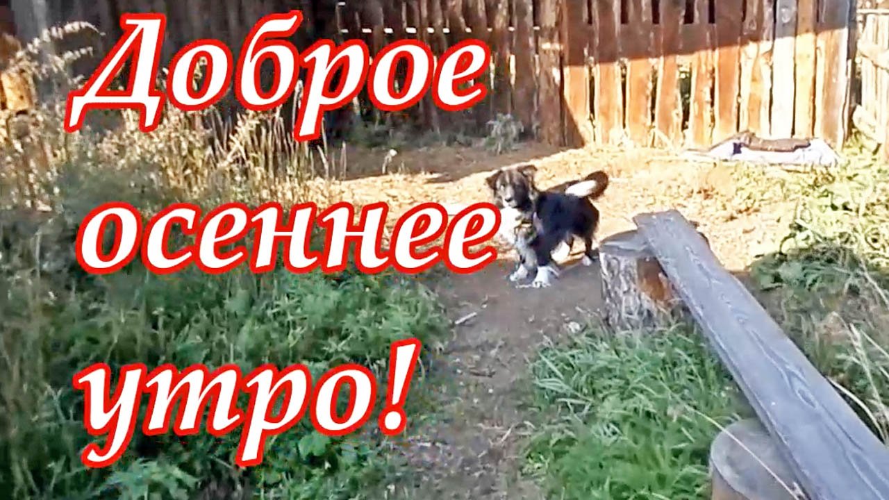 доброе осеннее утро.mp4