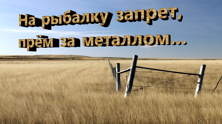 На рыбалку запрет, прём за металлом