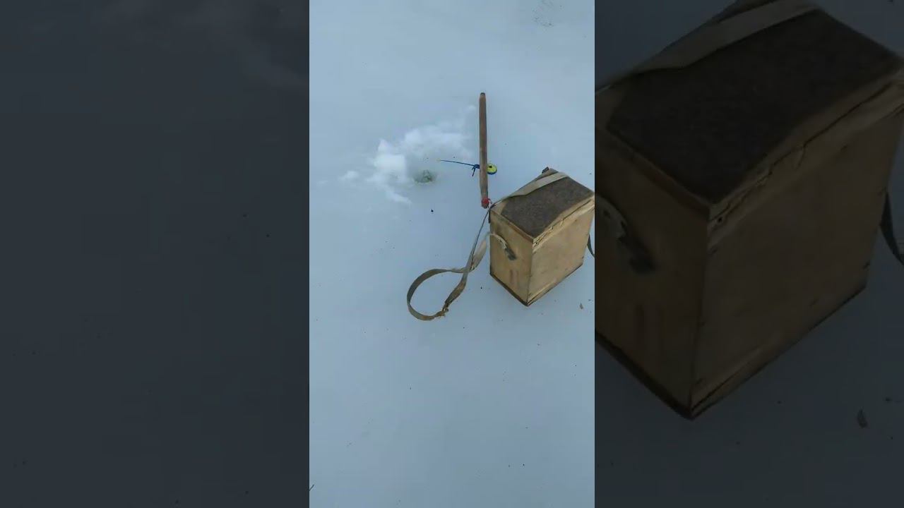 Рыбалка на Лысьве в марте 2023 года