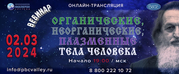 Бронников В.М. Вебинар 02.03.2024 Органические, неорганические, плазменные тела человека