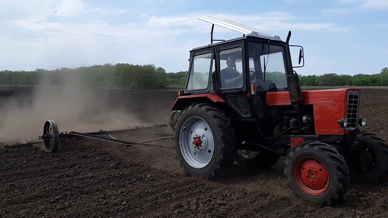 Боронование арбуза после посева 10 05 2019 г