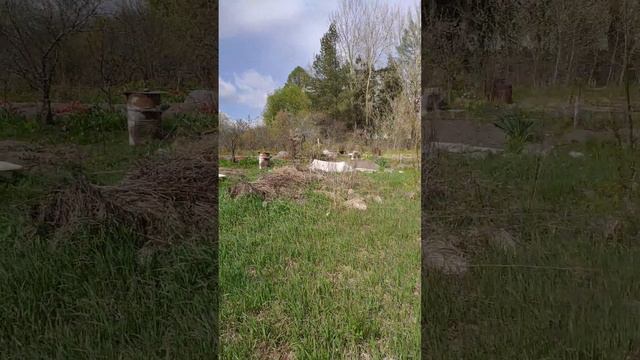 Копаем металл 19