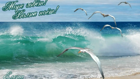 ЕДЕМ К МОРЮ