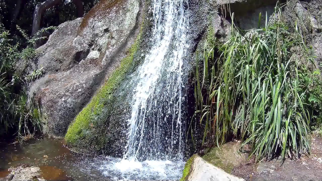 Воронцовский дворец (парк) | Алупка | Крым