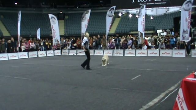 мастер фристайл Ильина Полина