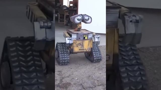 ???Настоящий Wall-E #из легендарного мультика у нас на планете #shorts #транс