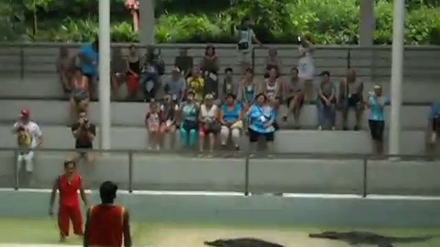 Начала шоу на крокодиловой ферме в королевстве Тайланд.mp4