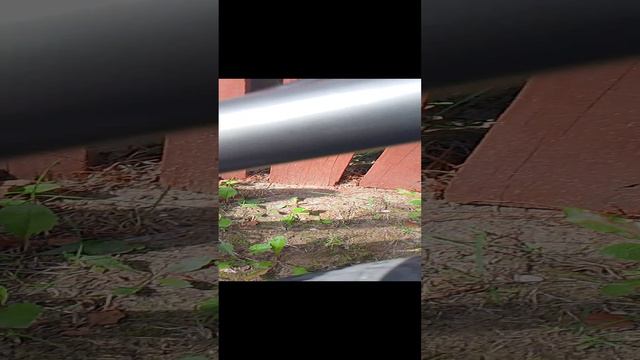 первое видео!