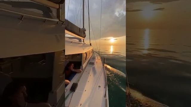 Аренда Яхт. Морское путешествие. Встречи с  Дельфинами. Лазаревское