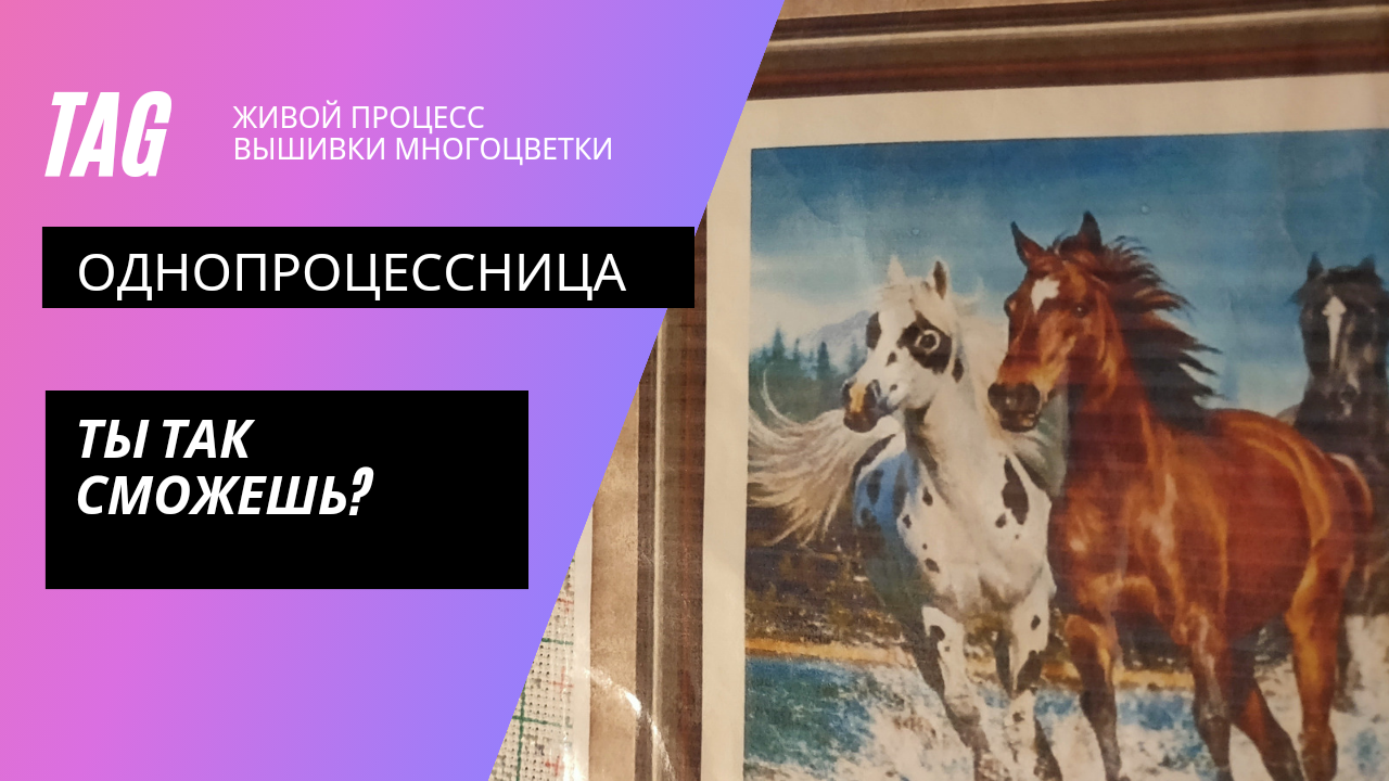 ТЕГ "Однопроцессница. Ты так сможешь?" живой процесс вышивки многоцветки