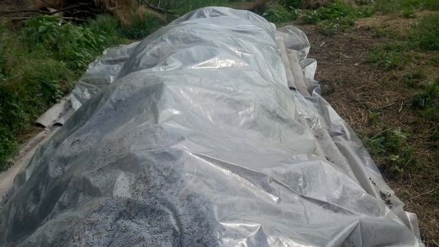 Заготовка клевера на зиму