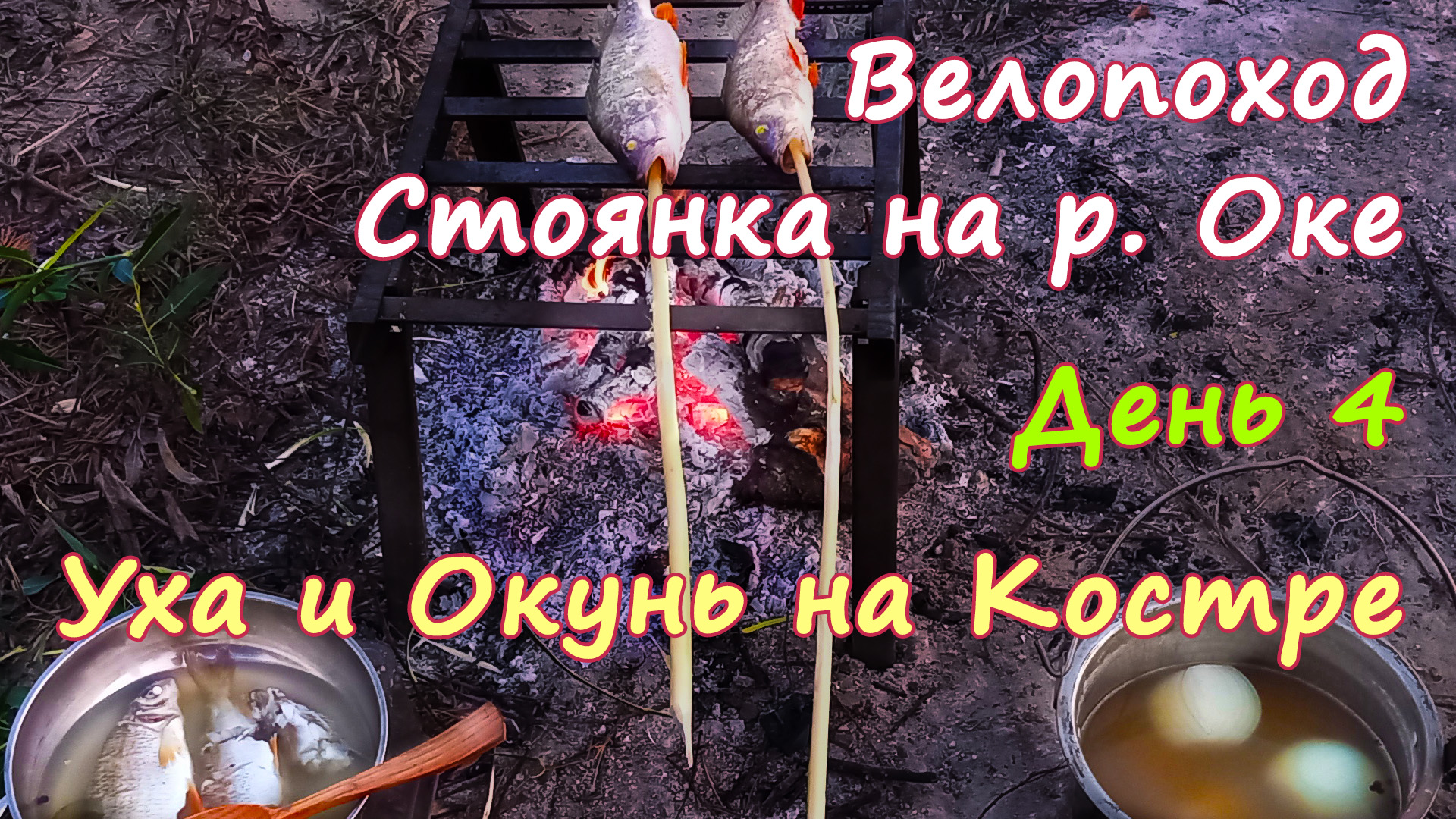 Велопоход ? Стоянка ⛺ День 4. Уха ? Окунь Гриль на Костре ?