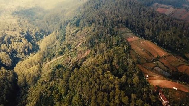 Музыка поможет снять напряжение и наполнит энергией.
