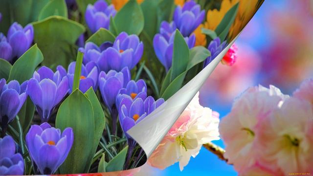 Музыкальный момент