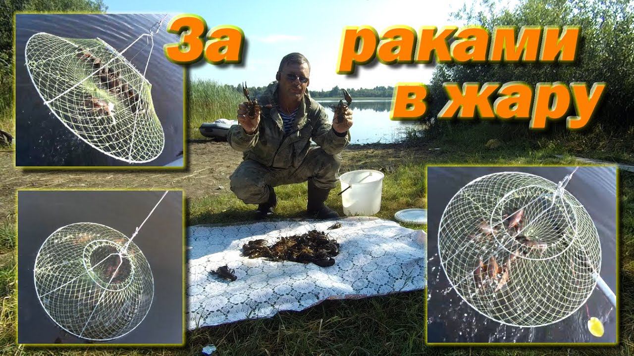 За раками в жару