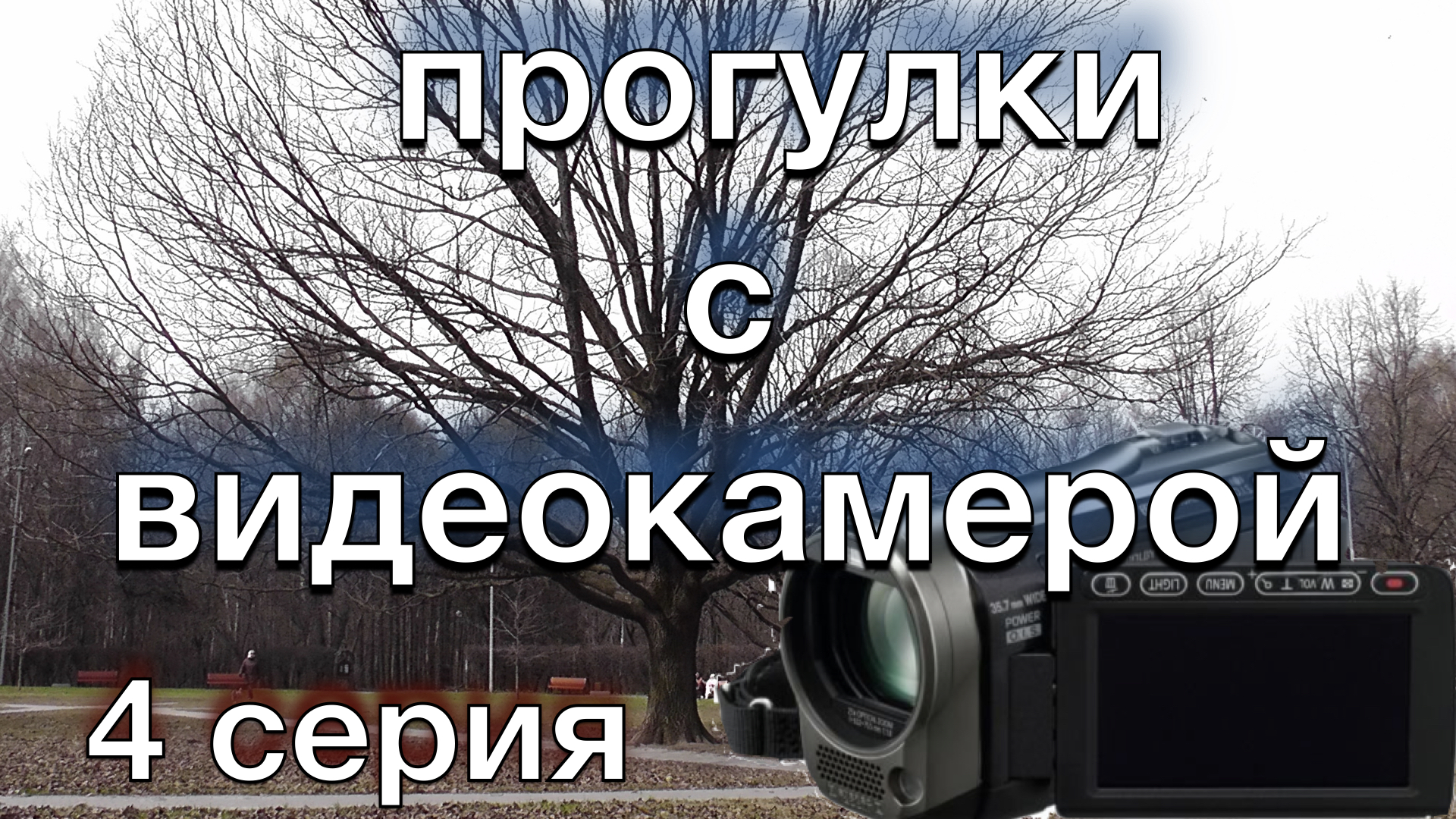 Прогулки с Panasonic HDC-SD60 / 4 серия / Хищные вороны, жадная бабушка и довольные собачки
