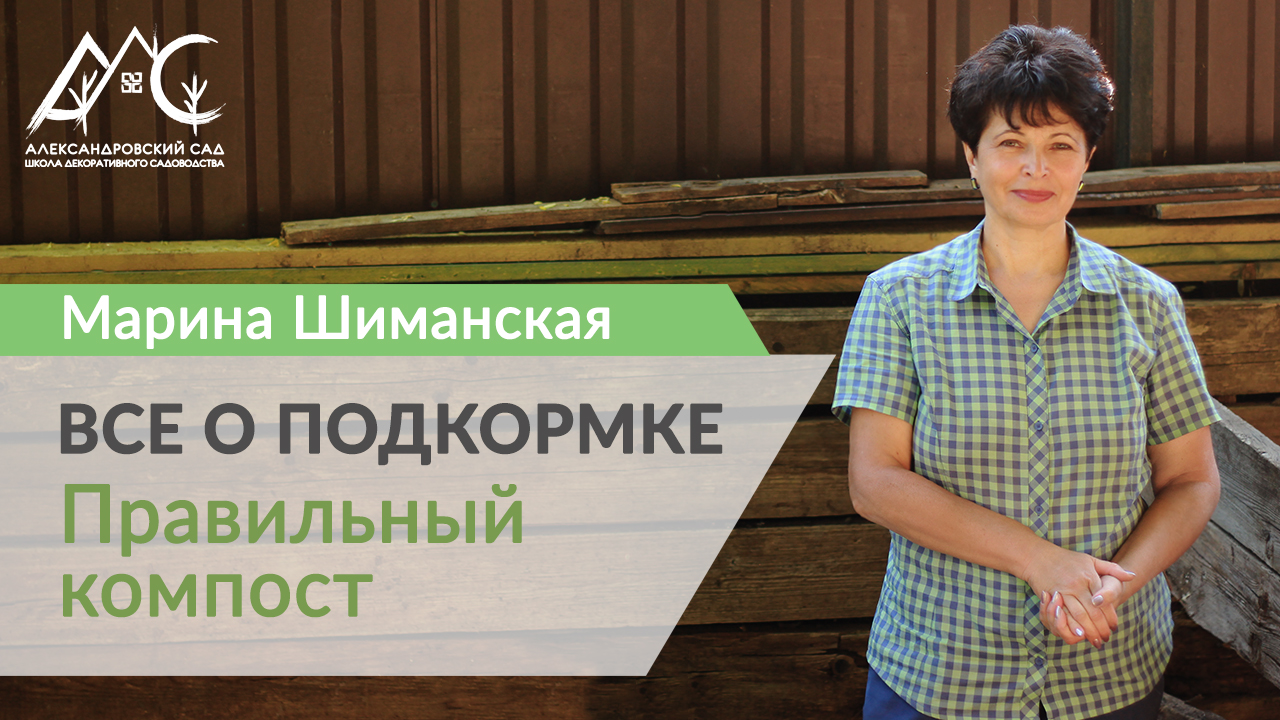 Подкормка растений: готовим правильный компост