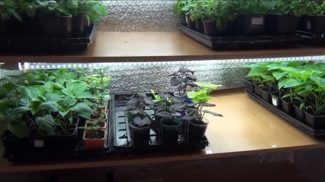 Все видео_Обзор нового СТЕЛЛАЖА .mp4