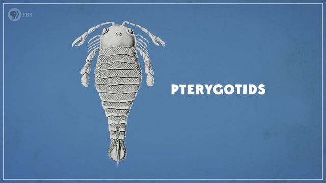Когда моря кишели гигантскими скорпионами (When Giant Scorpions Swarmed the Seas)