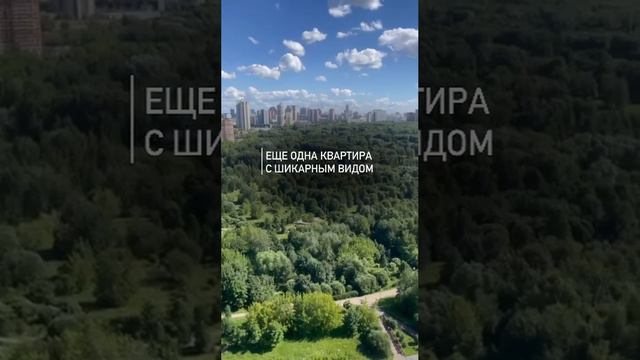 Квартира с шикарным видом из окна. Такая в Москве одна