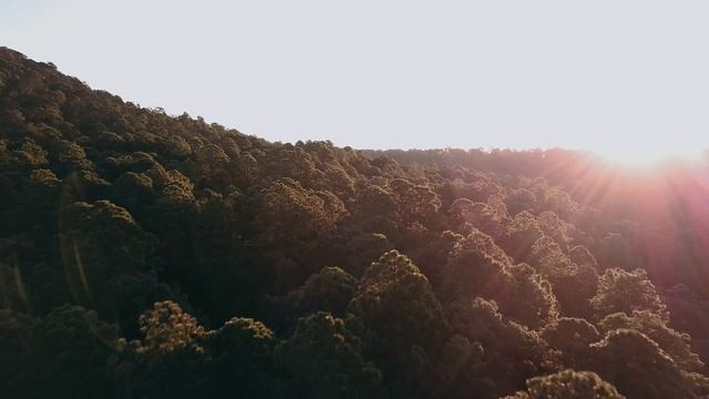 ЗАКАТЫ (подборка)