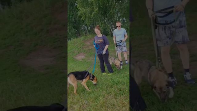 Приходите на прогулки