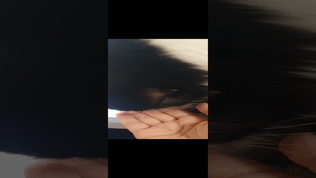 Если ешь бутерброд: нельзя не поделиться.