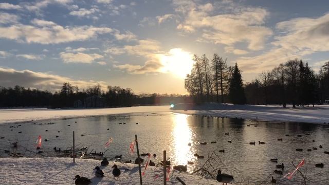 В гостях у Пушкина (Сорокина Варвара)