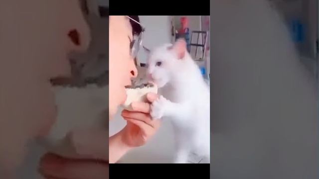 Тебе хорошо.mp4