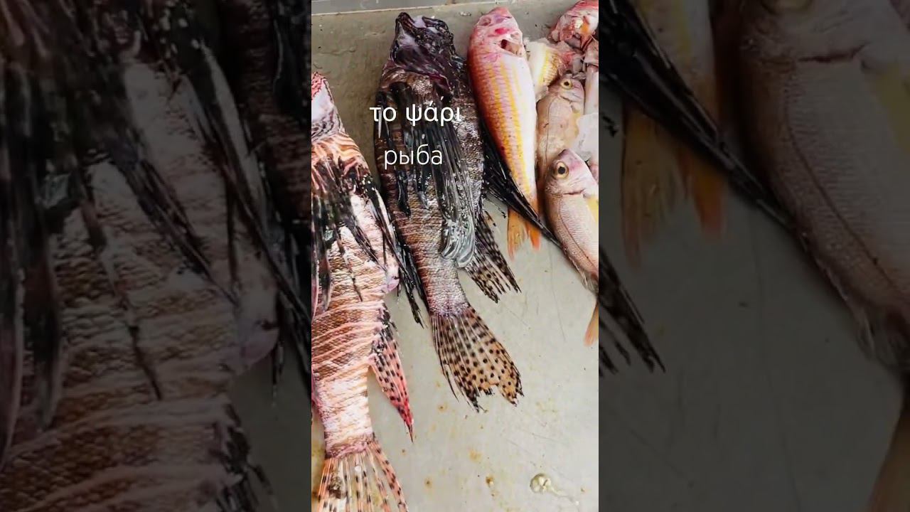 Рыба на греческом языке  #греческийязык #shorts