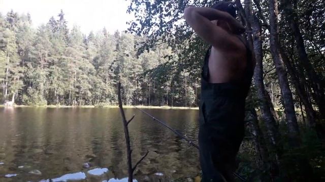 Рыбалка у лесного озера, на донку и поплавок, 2021 поймал большую рыбу.