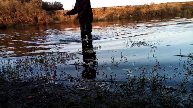 Закидушки на налима, мордушка. Проверка 3.10.23г.Алтайский край, река Чумыш.