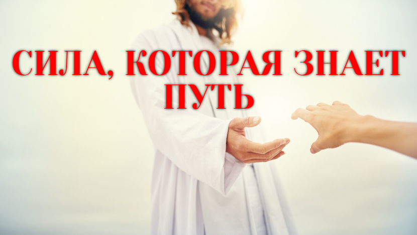 ПРЕКРАТИТЕ БОРОТЬСЯ