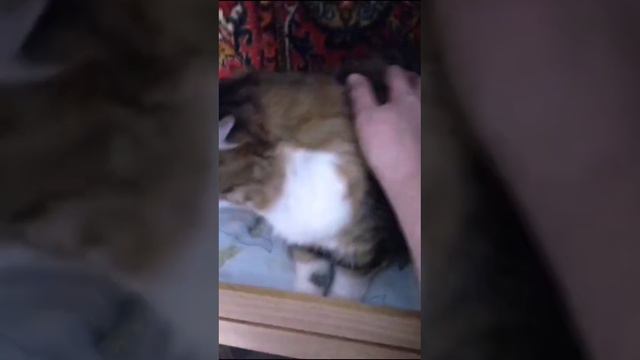 Джесси.mp4