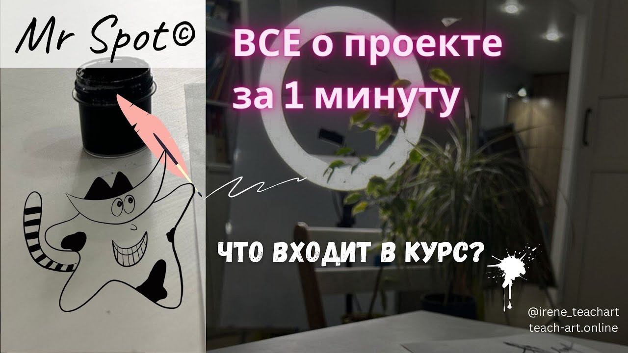 Mr Spot - все о проекте за 1 минуту: что входит в курс