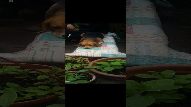 18.06.2022  17-21 Айка ждёт застолья