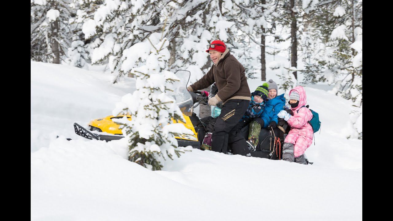 Мамай - 2019. Проект "Изумрудными тропами"