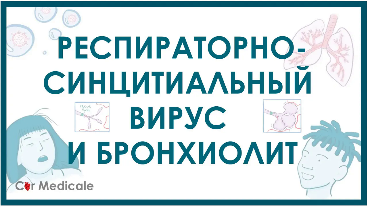 Респираторно-синцитиальный вирус человека - механизм развития, симптомы, принципы лечения