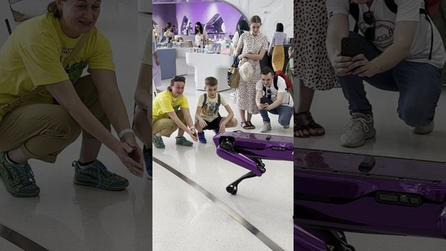 Дубай 🇦🇪 Музей будущего