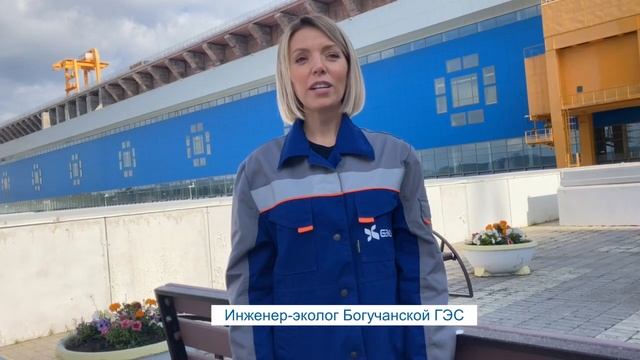 Выпуск мальков энергетиками Богучанской ГЭС