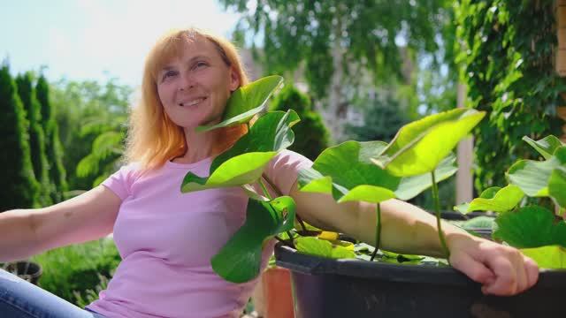 Почти Тропики. Наш тропический сад на 12 июня. Ростов-на-Дону