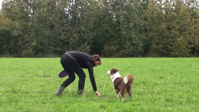 Чемпионат России. Фризби-Фристайл. Людмила и бордер-колли Аргентина..mp4