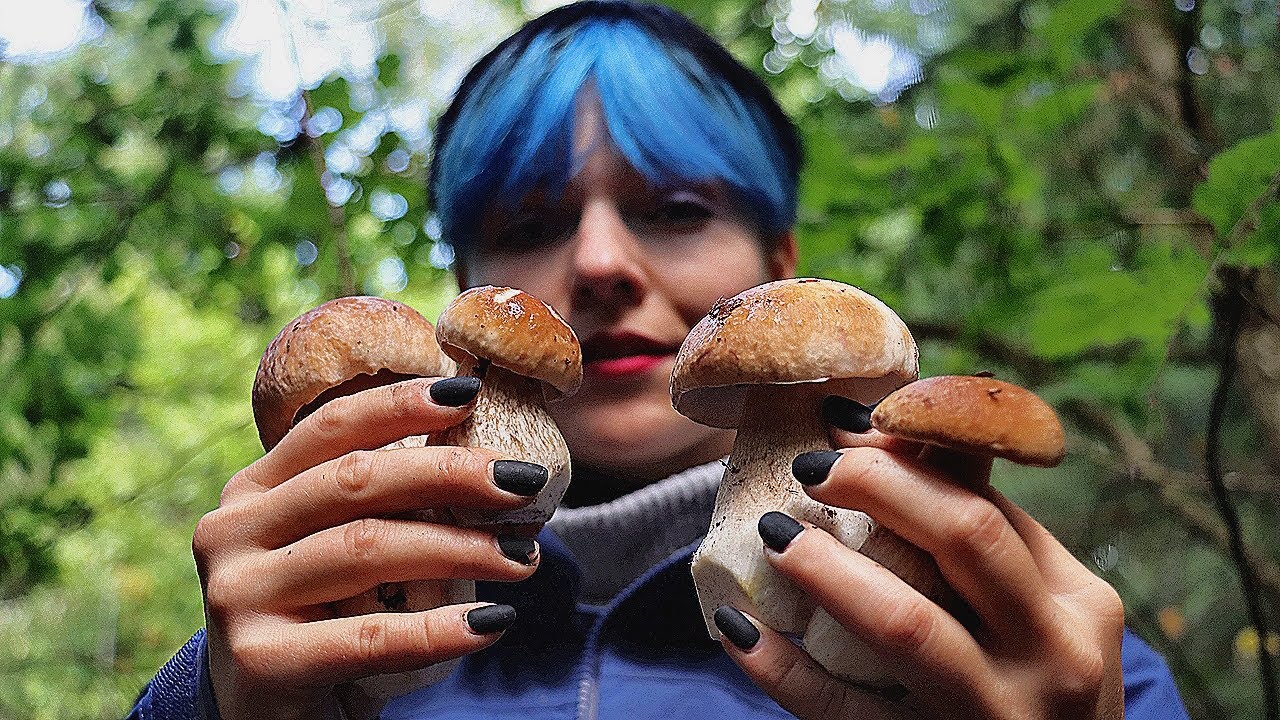 НАШЕСТВИЕ БЕЛЫХ ГРИБОВ. Поляны боровиков. Тихая охота 2020