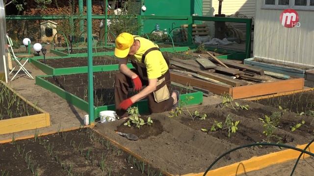 Во саду ли, в огороду (выпуск от 27.05.2022)