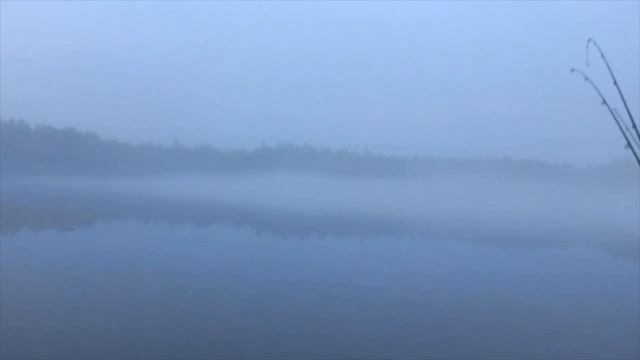 Отдых в Карелии.  Снова встреча с МЕДВЕДЕМ!  Сегозеро 5 - 14 июня