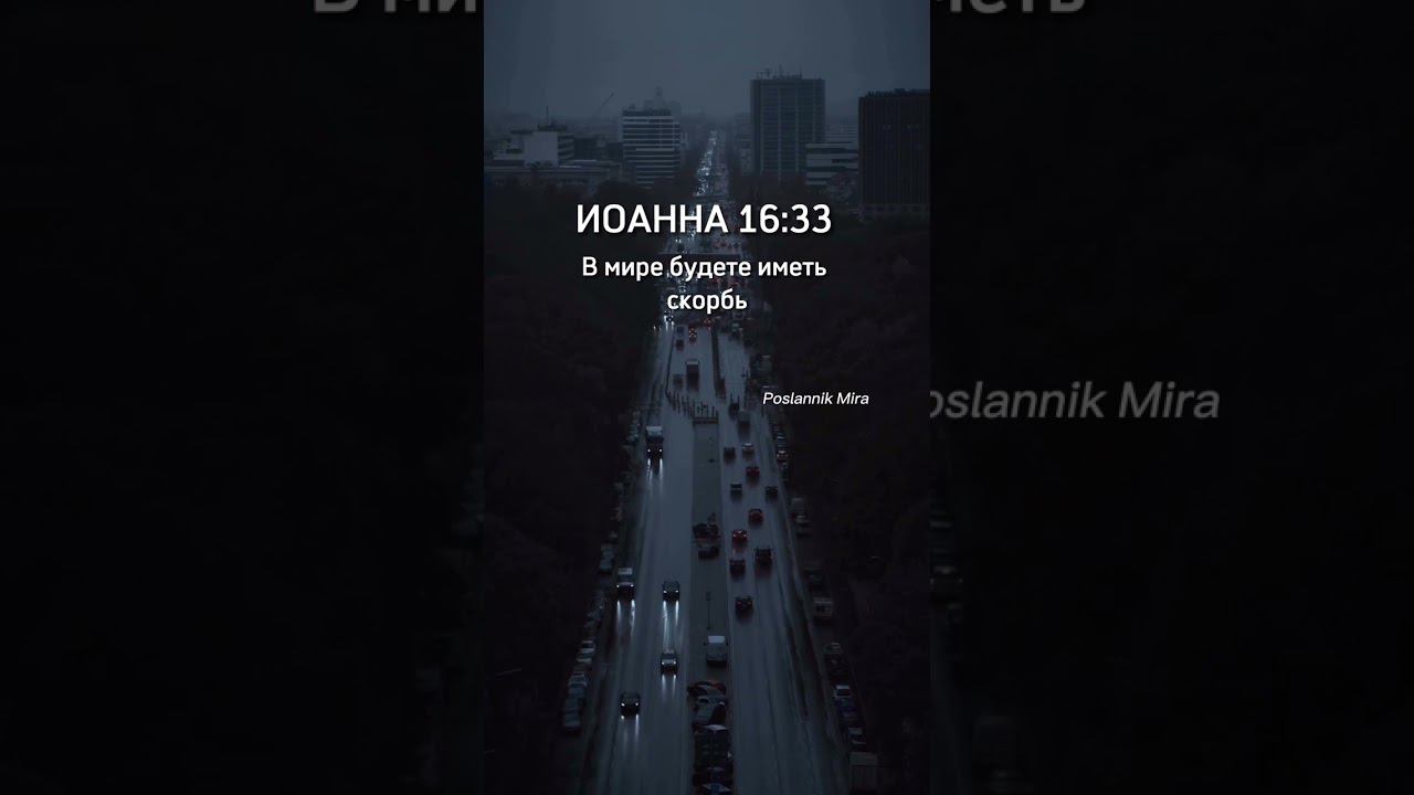 poslannikmira#shorts